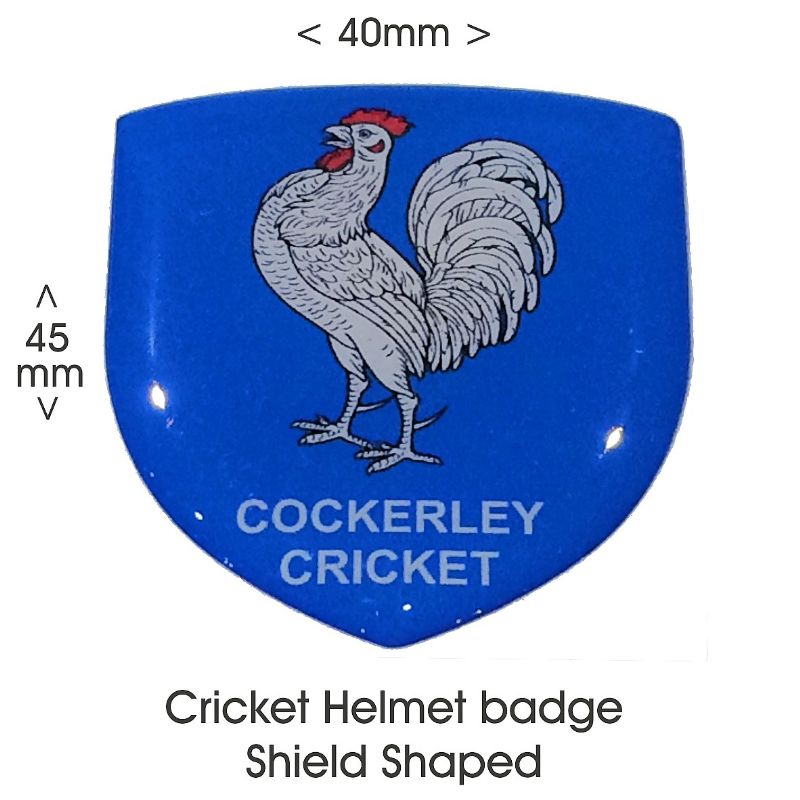 Helmet Badge Shield Shape